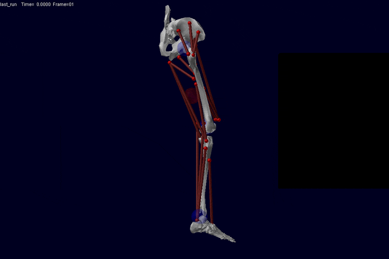 Biomechanical Modelling in Sport & Exercise Sciences – Ian Kenny – PESS ...