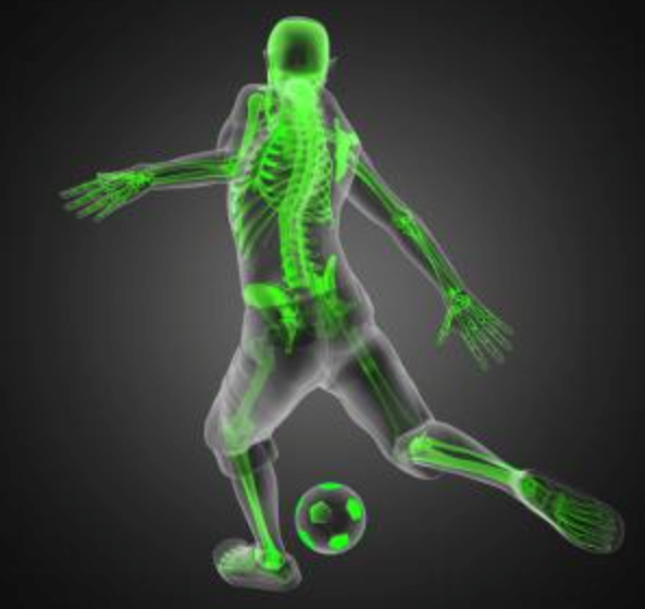 Sensory-Motor Control Research in Sport: Dr Adam Toth – PESS News ...