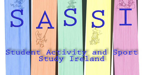 New Publication: SASSI Protocol for a Web-Based Survey and ...