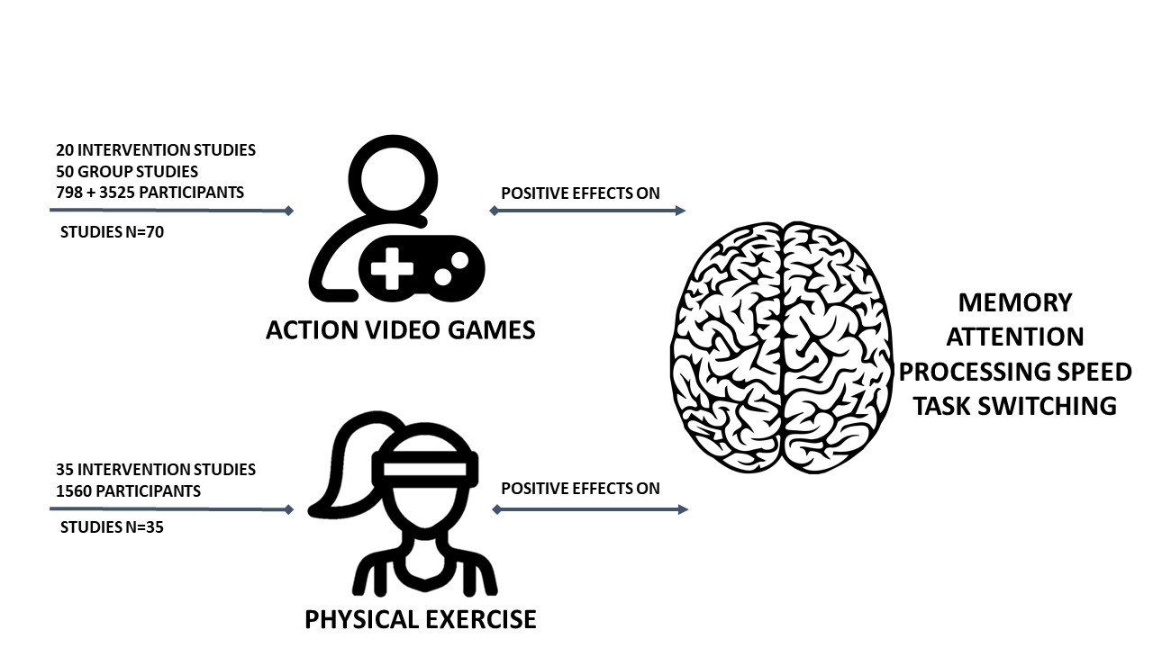 How to stay cognitively fit: the link between physical exercise and ...