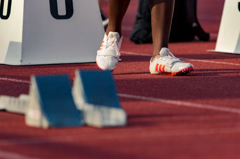 Publication: Ankle and Plantar Flexor Muscle-Tendon Unit Function in ...